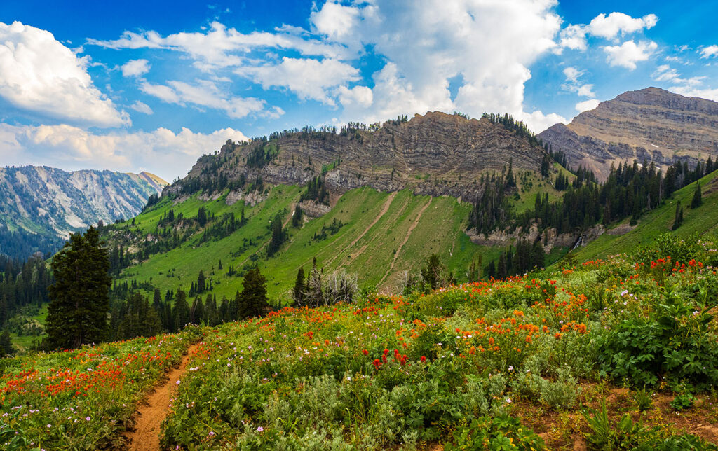 Off the Grid and Into the Wild: Hiking Corral Creek Lake – Wired To Explore